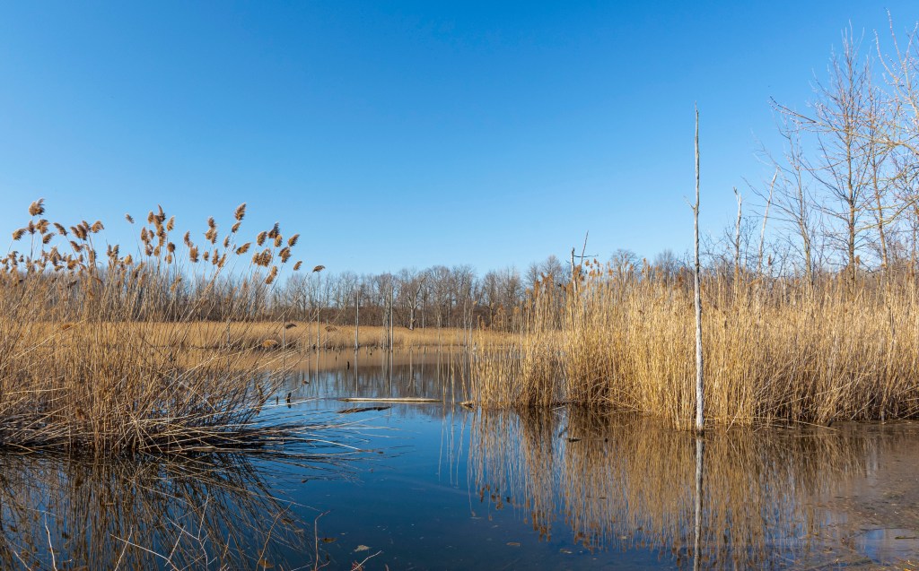 Hiking along the Genesee: Avon area – Route 20 to Lehigh Valley Trail ...